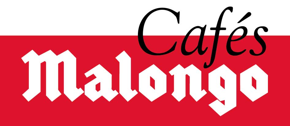 Site Web Devint'2004